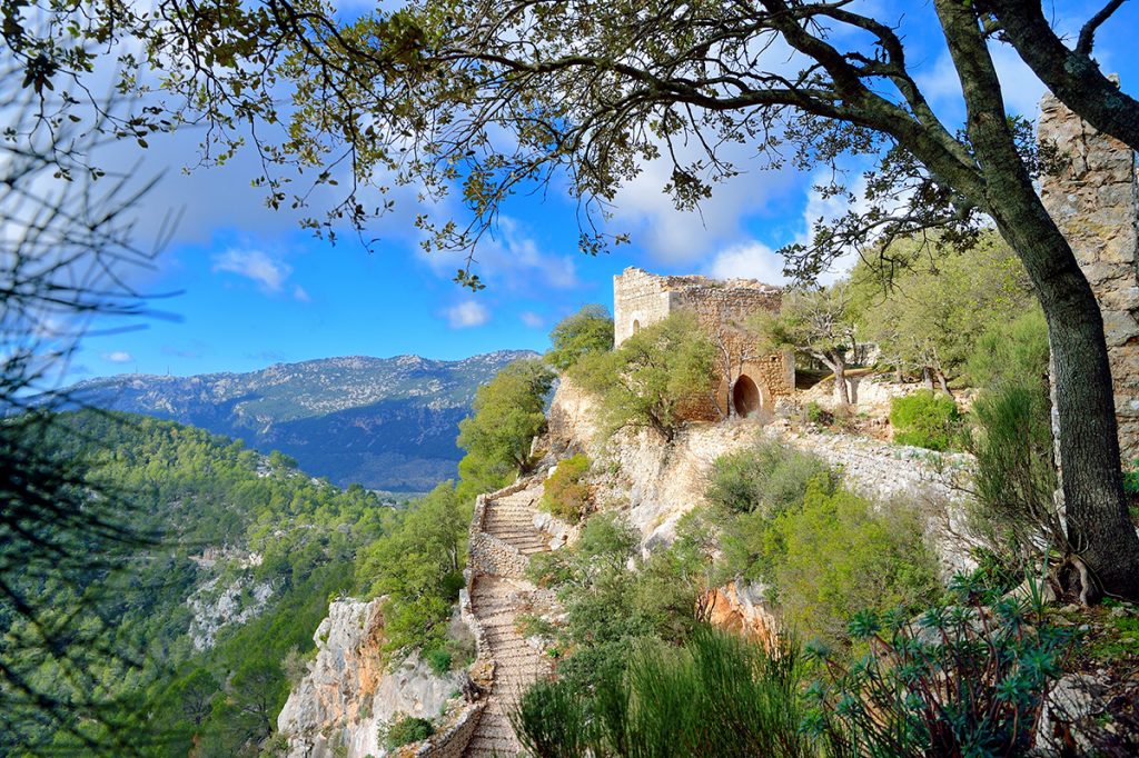 12 Unmissable Winter Adventures on Mallorca - Living in Mallorca