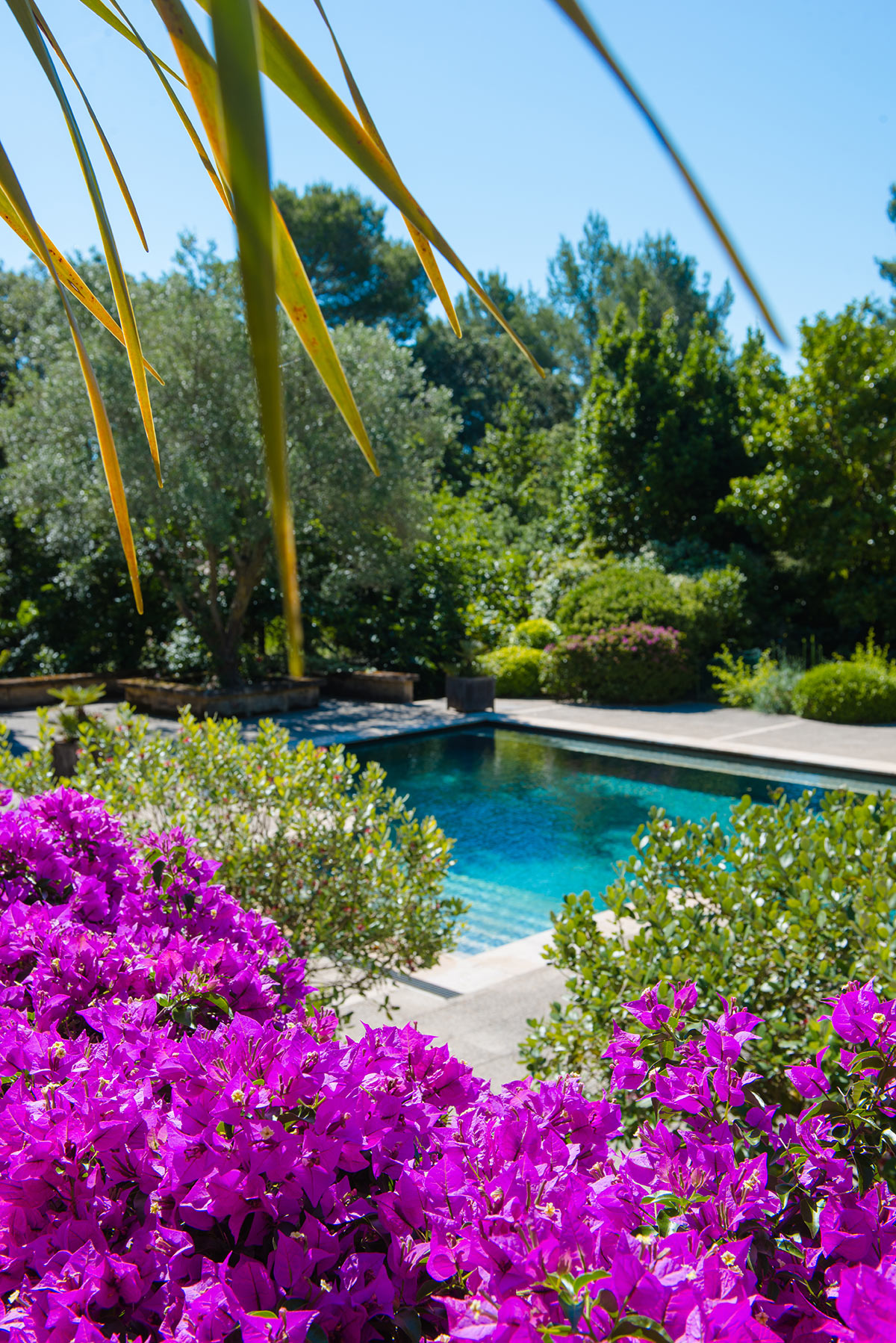 Planting the perfect Mallorcan garden - Living in Mallorca