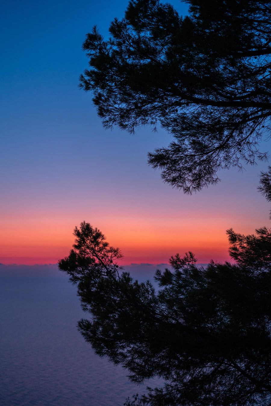 101 Best Photos of Mallorca - Living on Mallorca