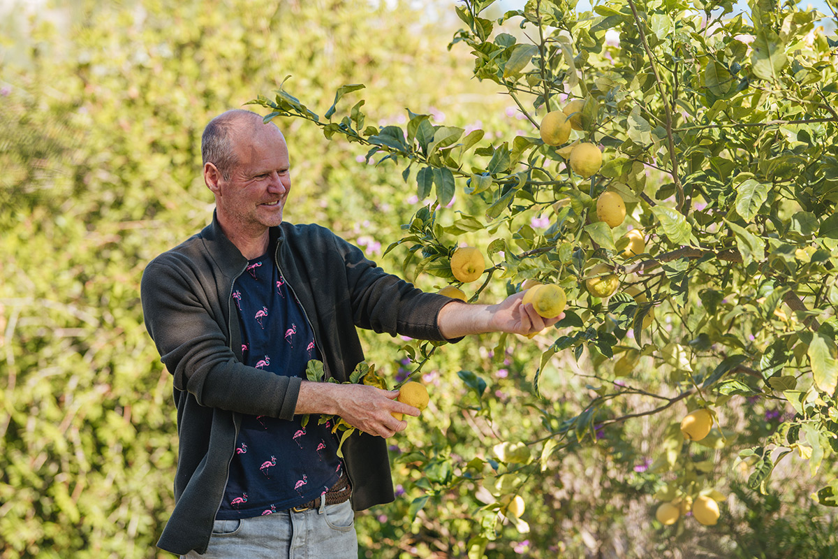 The Cycle of Life - Living in Mallorca