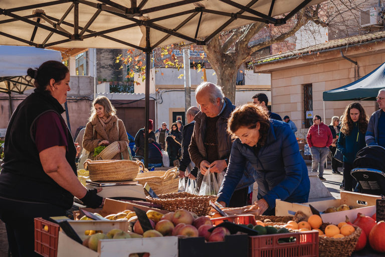 The 8 best things to do in Alaró - Living in Mallorca