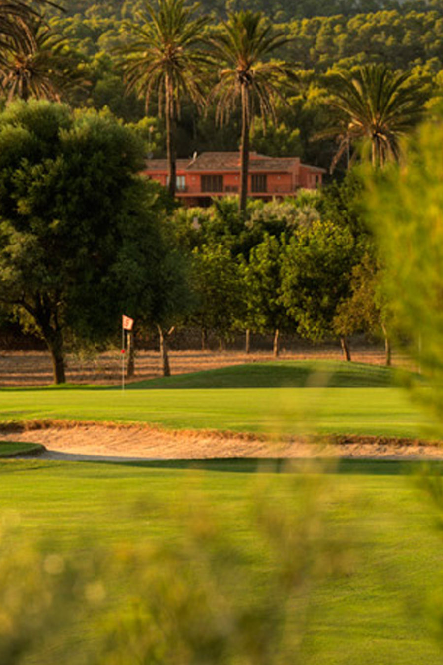 Santa Ponsa - Living in Mallorca