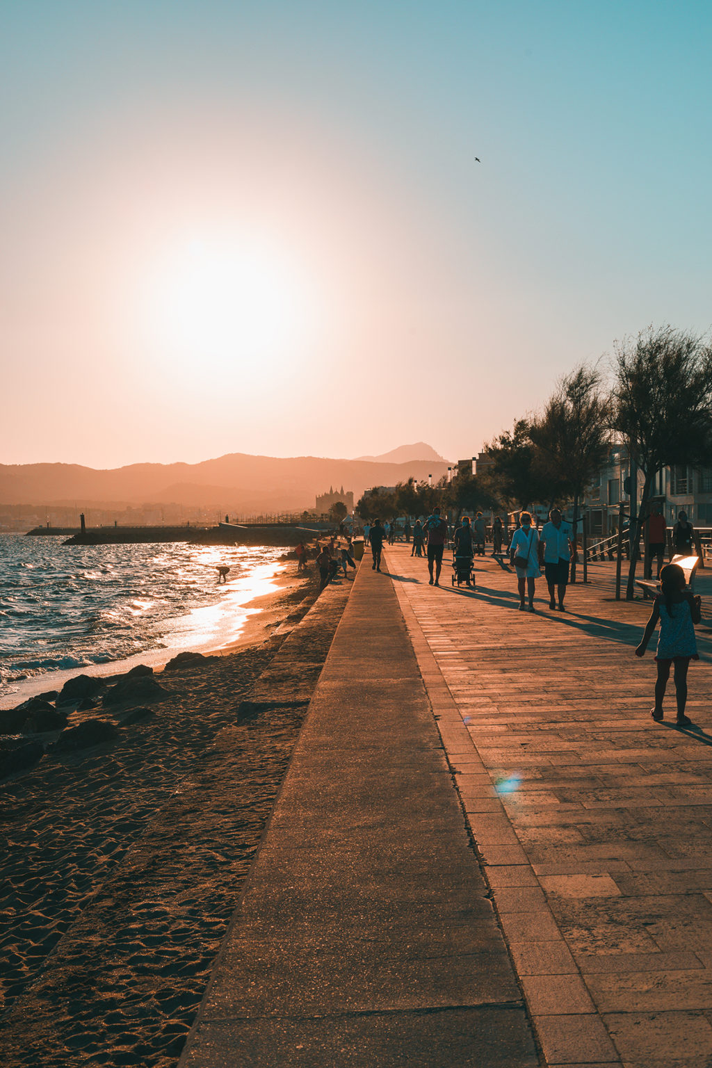 Portixol and El Molinar - Living in Mallorca