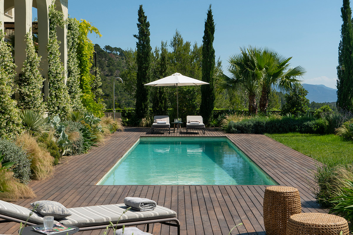 Mediterranean Race Characteristics