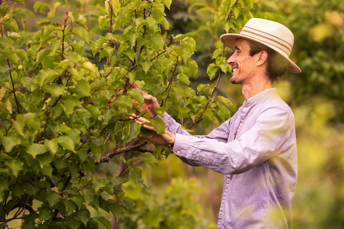 Embracing nature’s harmony: how permaculture transforms landscapes and ...