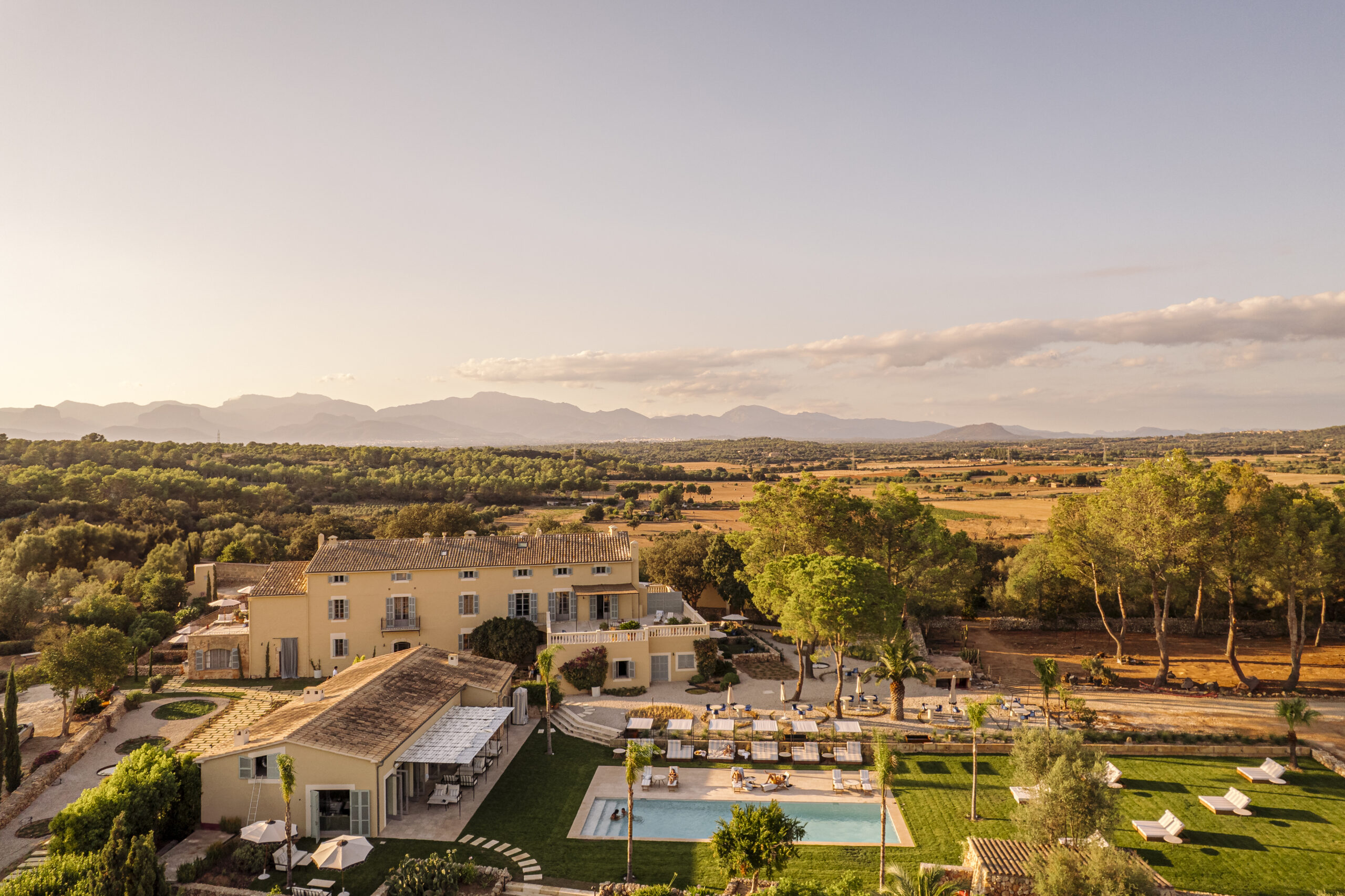 Design led new openings - Living in Mallorca